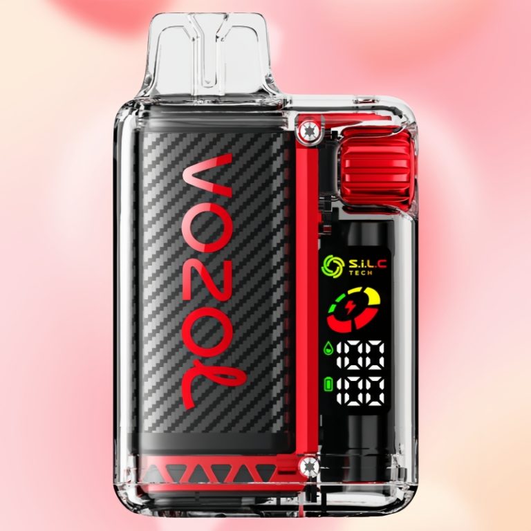 Vozol Vista 20000 Raspberry Watermelon - CHINA VAPE WHOLESALE